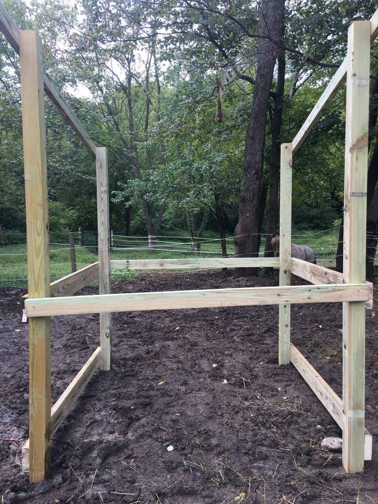 DIY Hay Feeder | Three Chestnuts