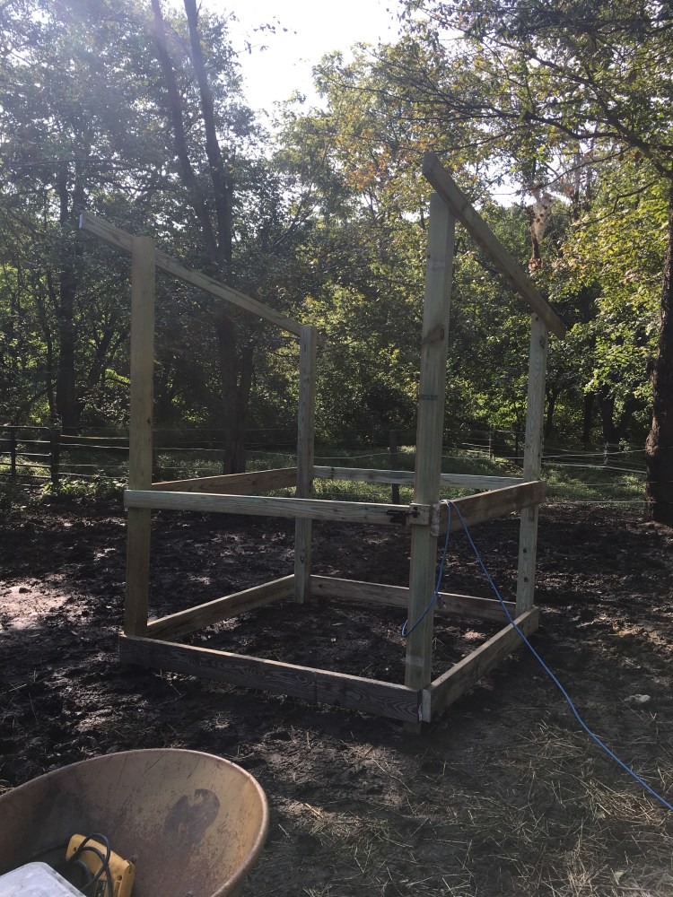 DIY Hay Feeder | Three Chestnuts