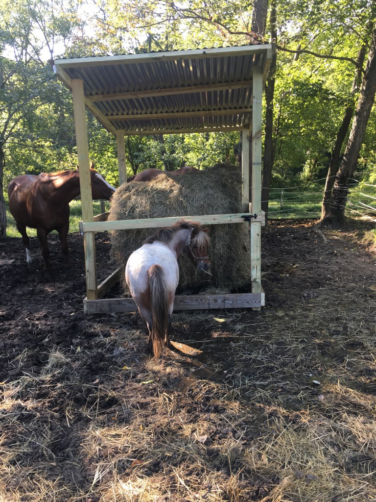 DIY Hay Feeder | Three Chestnuts
