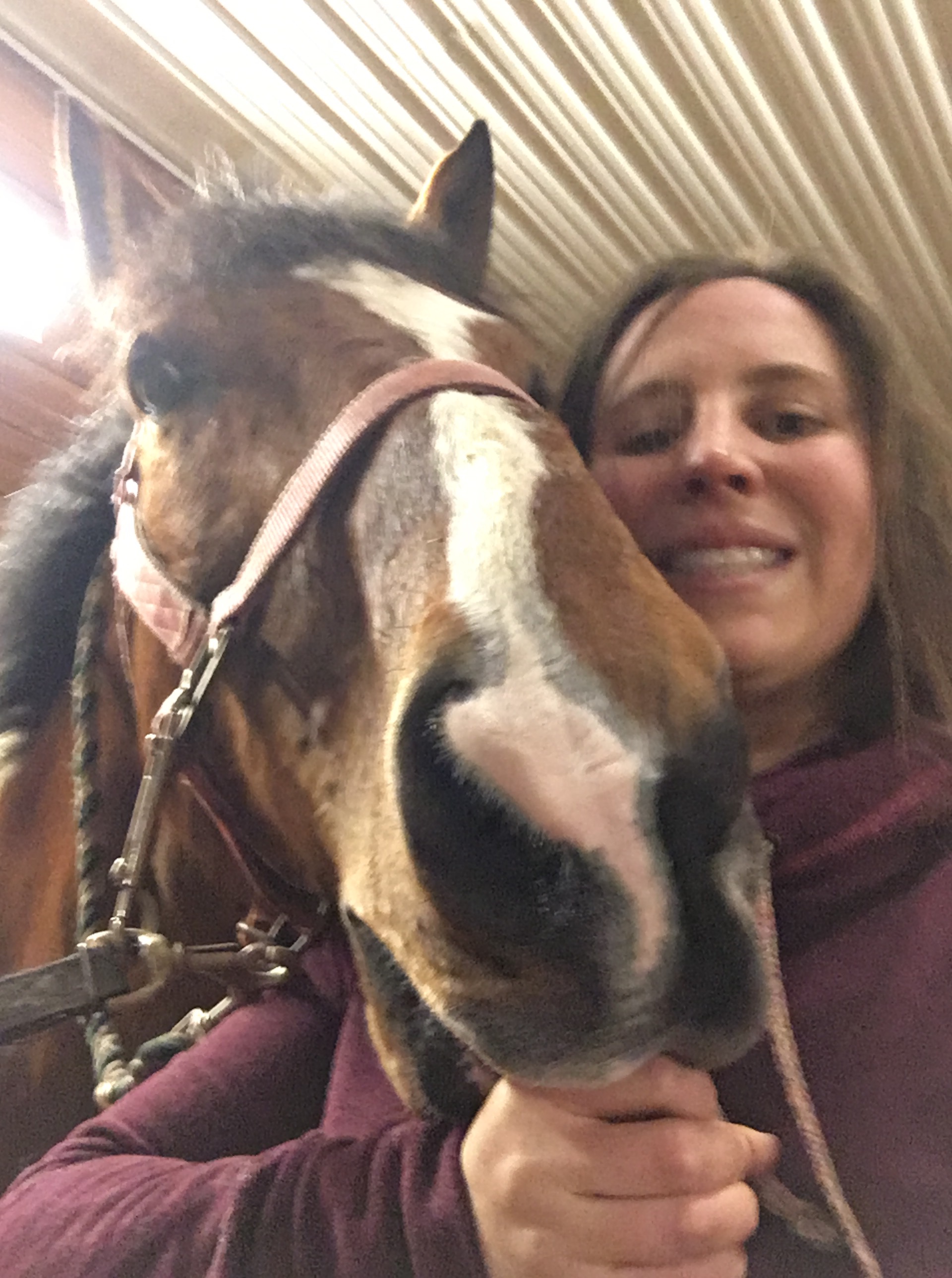 Update and help the cats please | Three Chestnuts